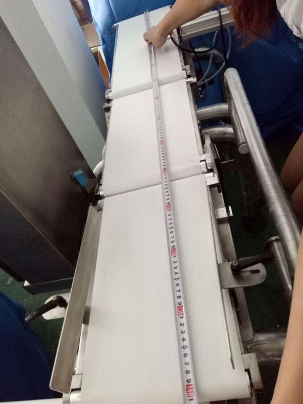 High Precision Dynamic Weighing Conveyor Belt Scale Check Weigher ...