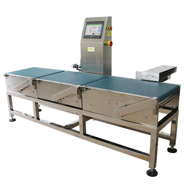 Eletronics Industry Automatic Checkweigher / Conveyor Weight Scale Machine