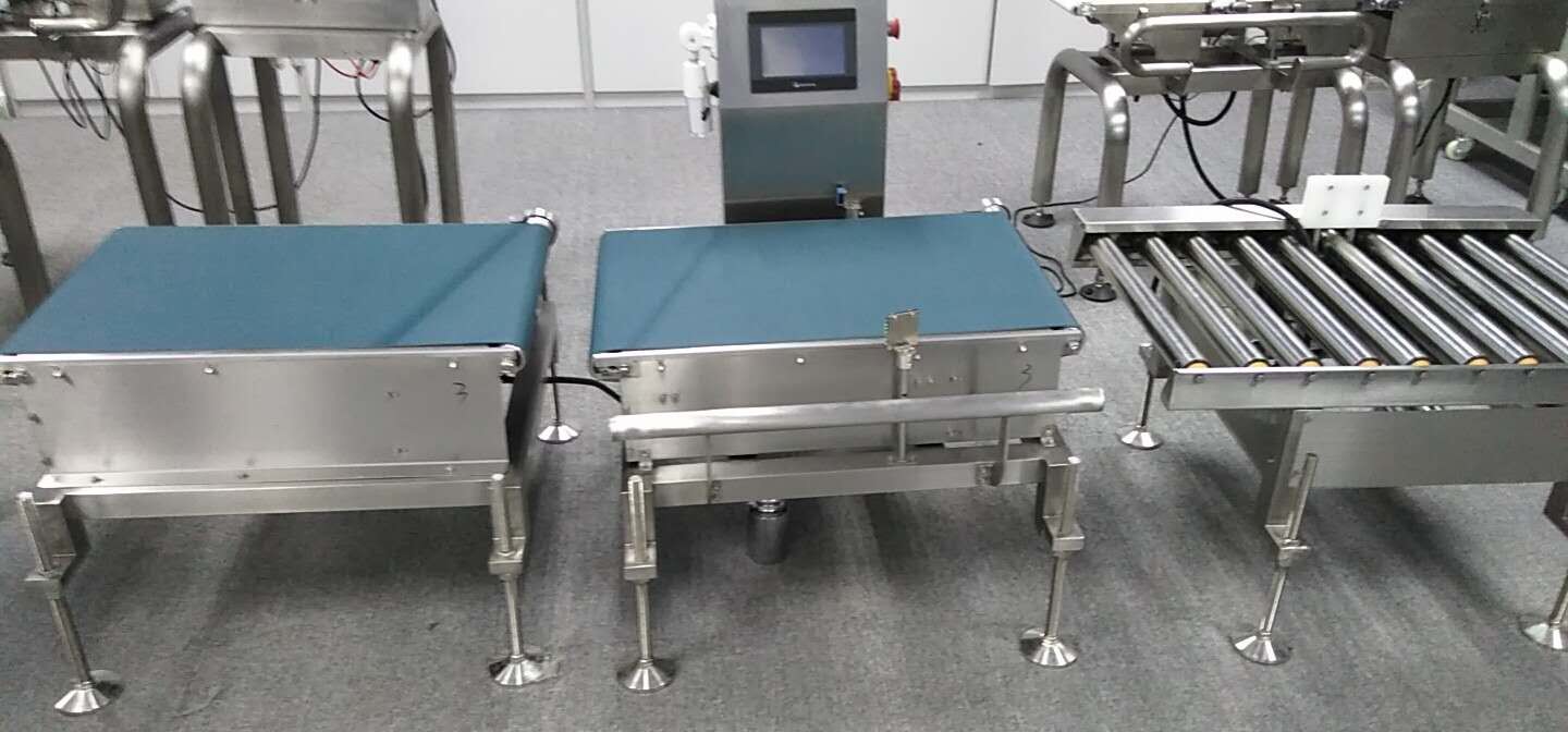 D Display Conveyor Weight Checker / Overload Automatic Weight ...